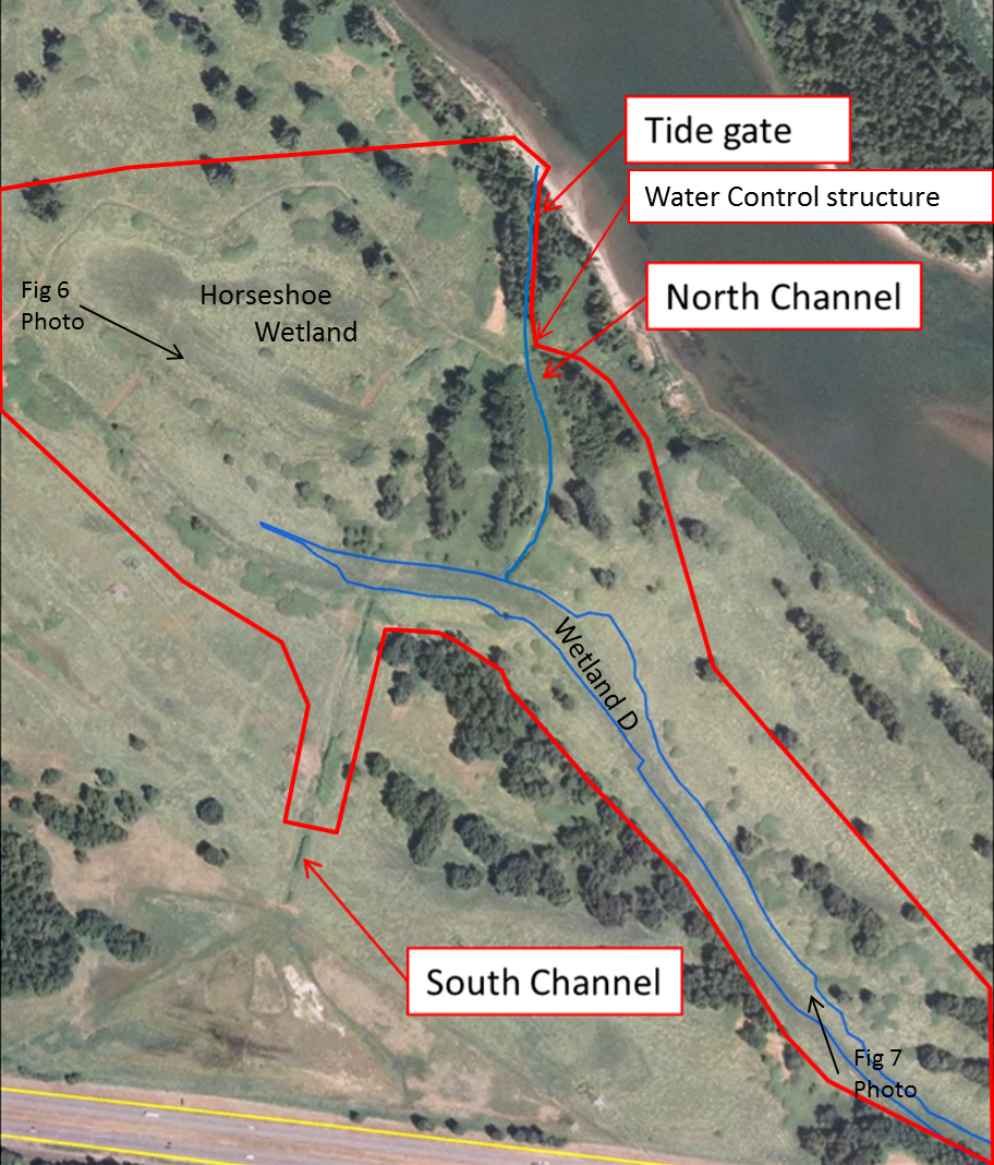 Sandy River Delta Thousand Acres | Estuary Partnership